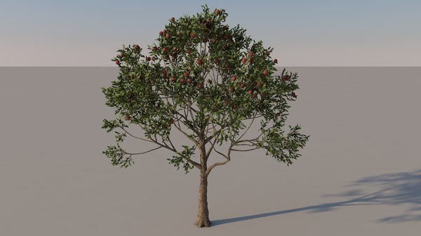 3D apple tree model - TurboSquid 1473699