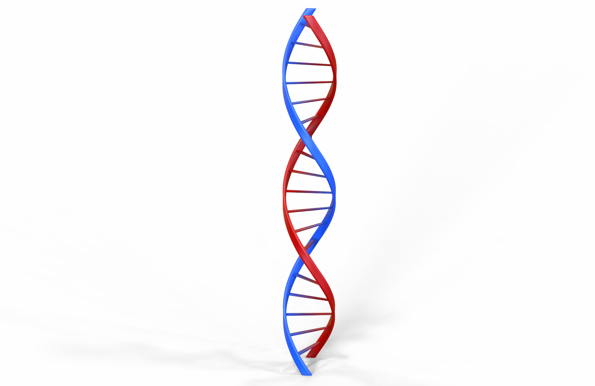 modelo 3d Molécula de ADN v2 - TurboSquid 1473929