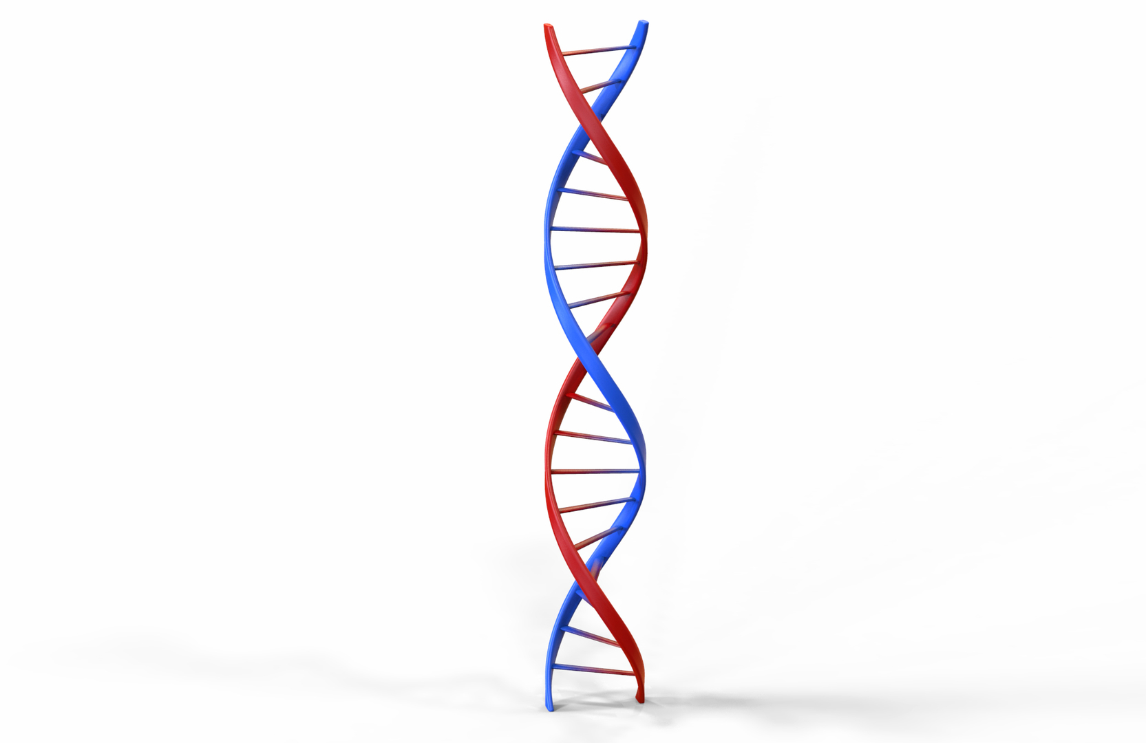 modelo 3d Molécula de ADN v2 - TurboSquid 1473929