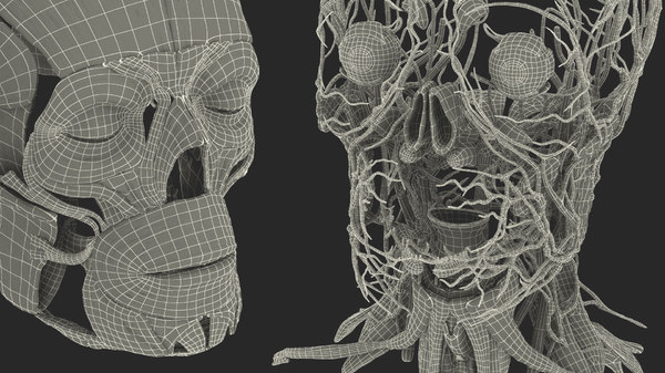 3D human head anatomy skin model - TurboSquid 1474081