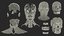 3D human head anatomy skin model - TurboSquid 1474081