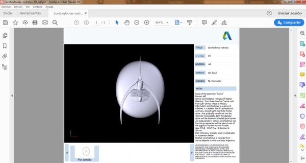 General Lonchodomas rostratus trilobite