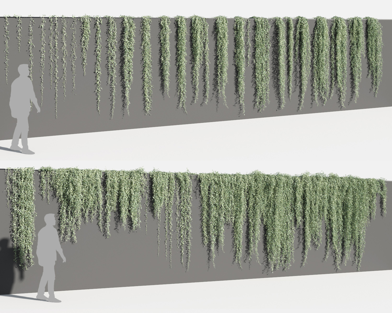 Creeper plants 3D model - TurboSquid 1474613