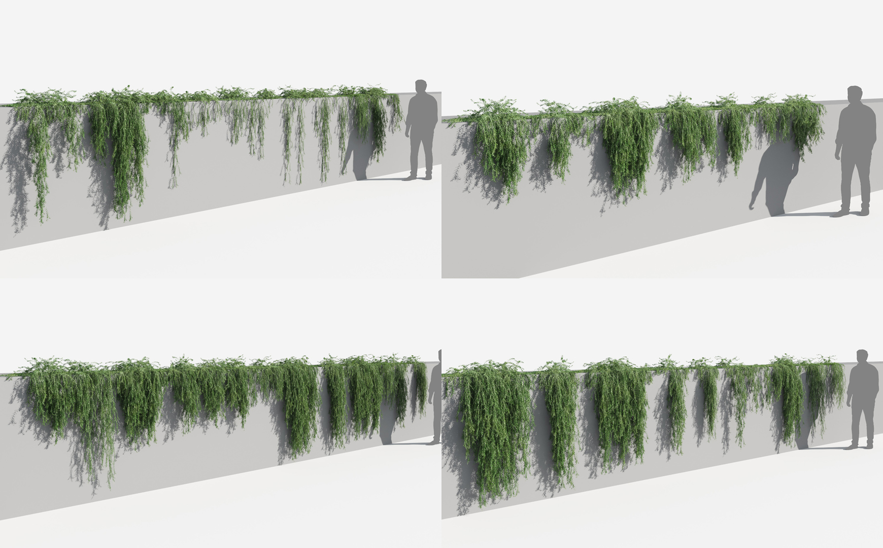 Modello 3D Collezione di piante rampicanti - TurboSquid 1474613