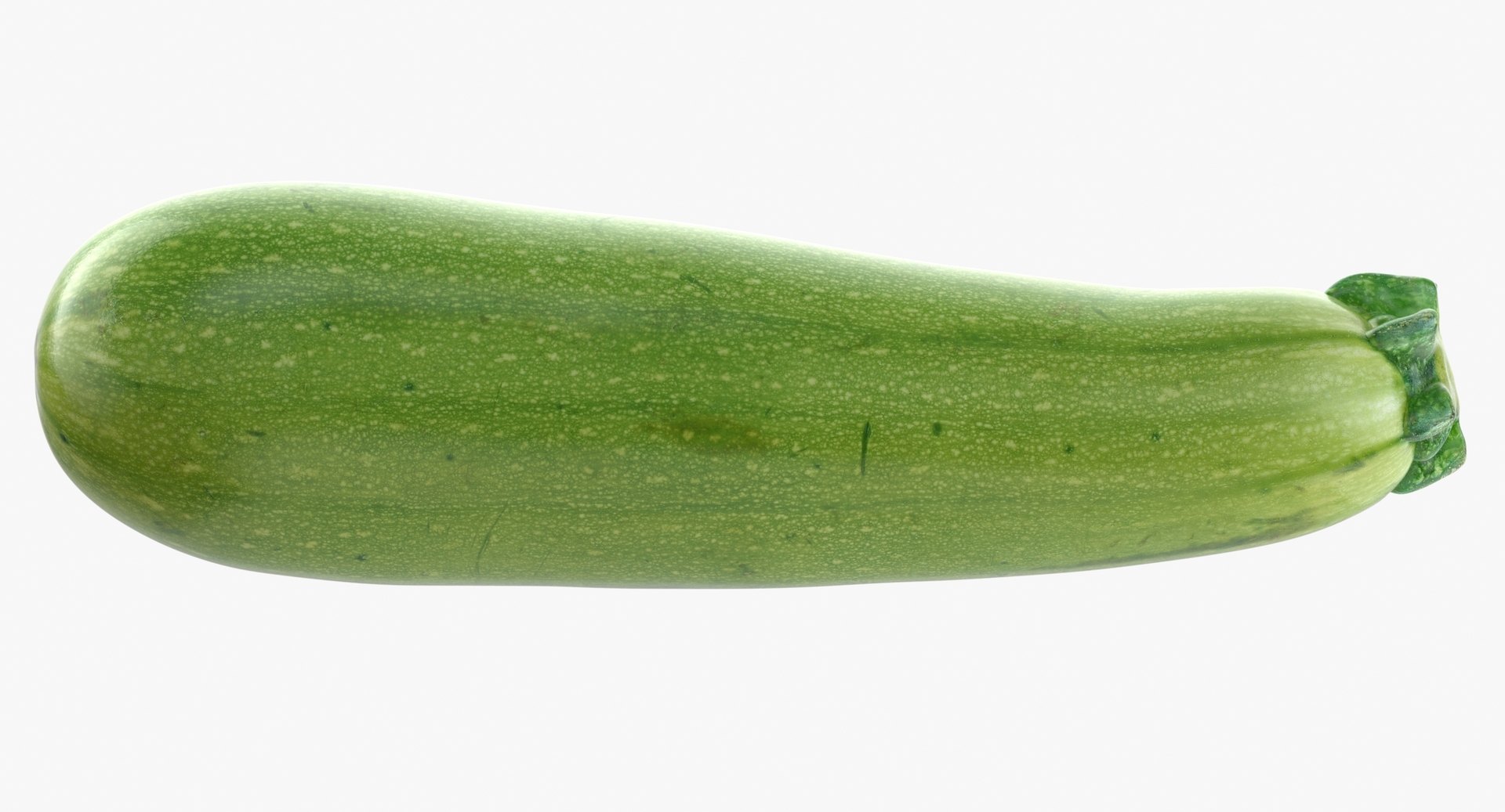 Zucchini cousa squash 04 model - TurboSquid 1475339
