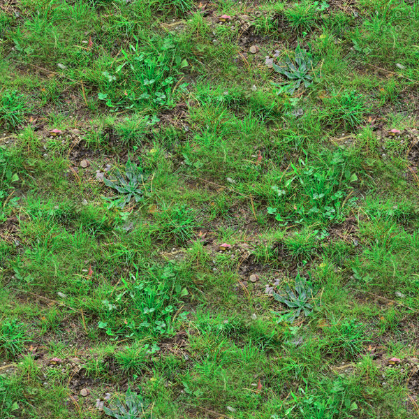 Texture JPEG ground weed grass