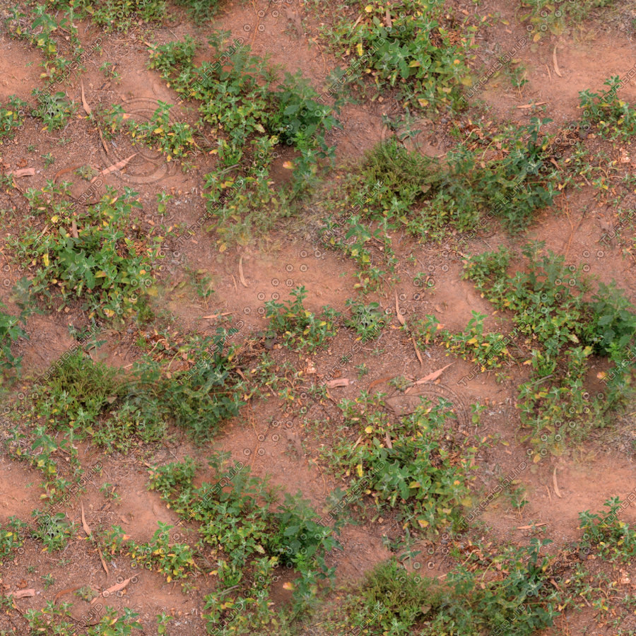 Texture JPEG ground weed grass