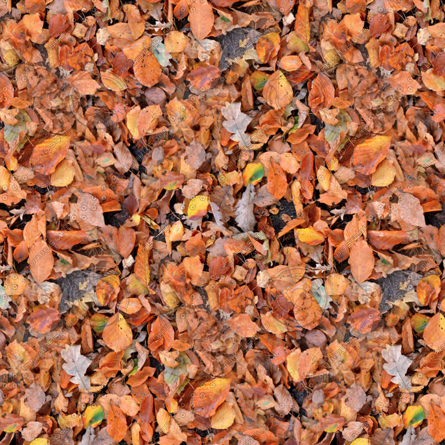 Texture Other leaf ground autumn