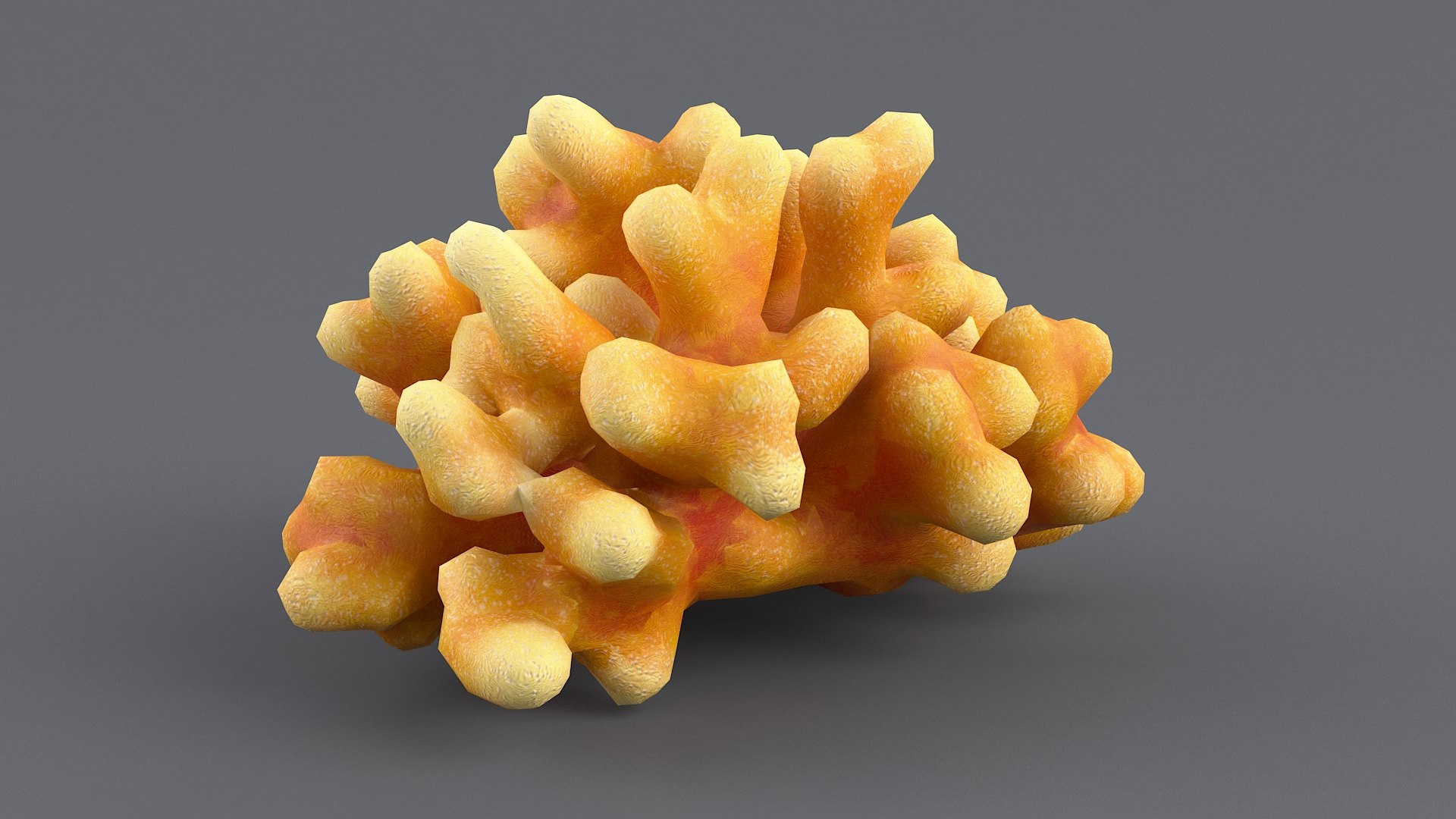 Coral polyp 3D model - TurboSquid 1476835