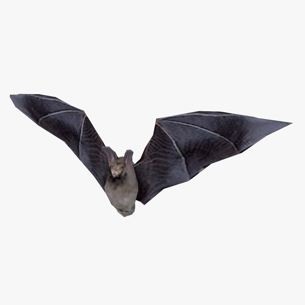 Bat 3D Models for Download | TurboSquid