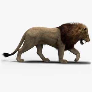 Lion 3D Models for Download | TurboSquid