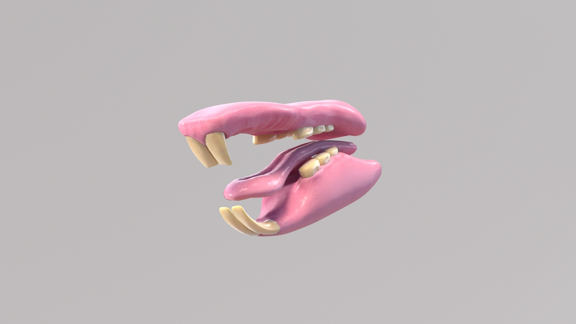 3D model realistic rat mouth - TurboSquid 1477561