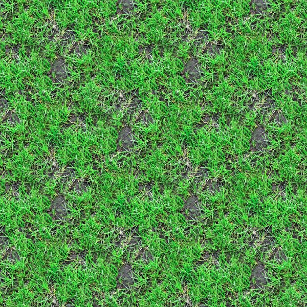 Texture JPEG grass wild weed