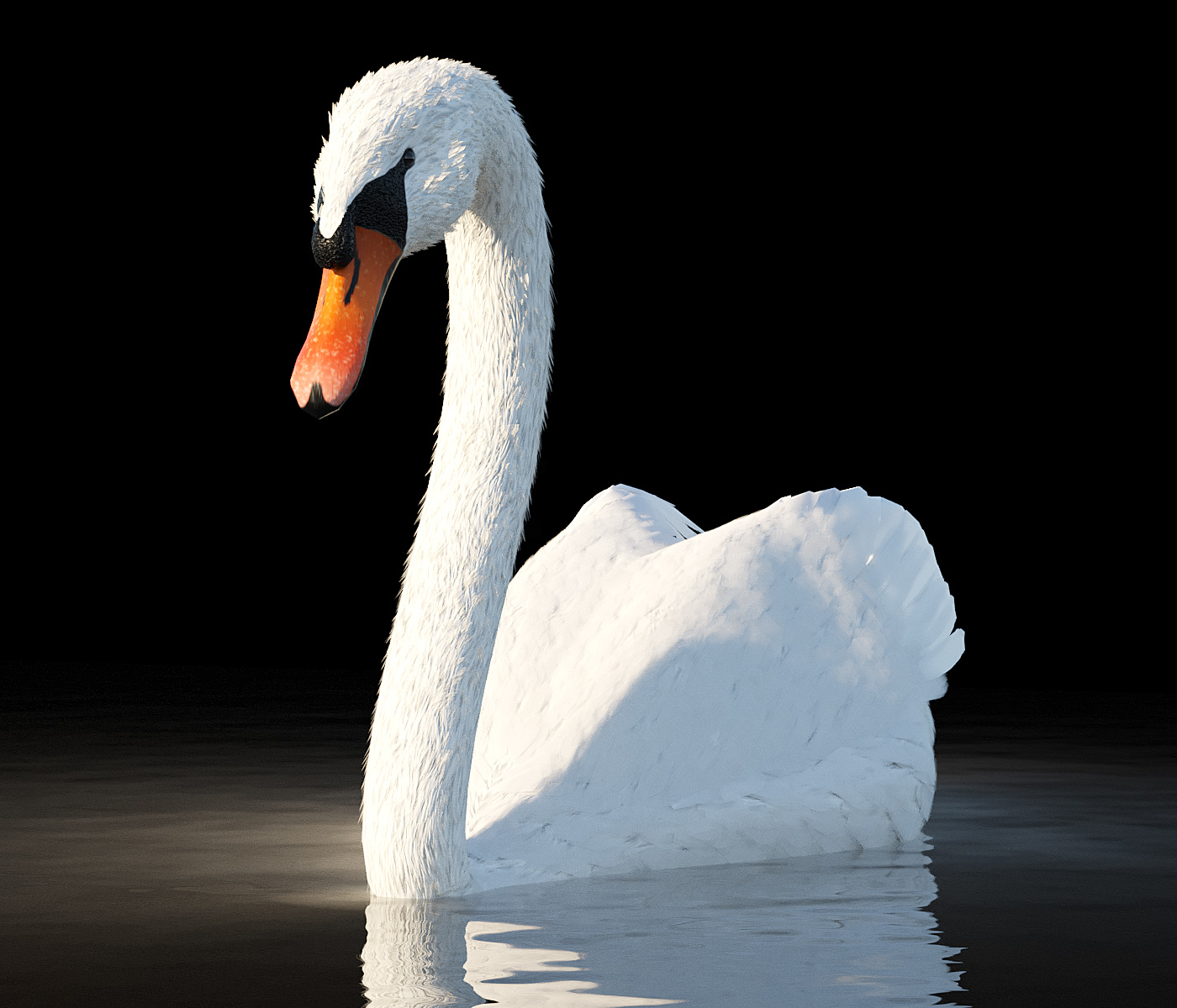 3D model white swan - TurboSquid 1478504