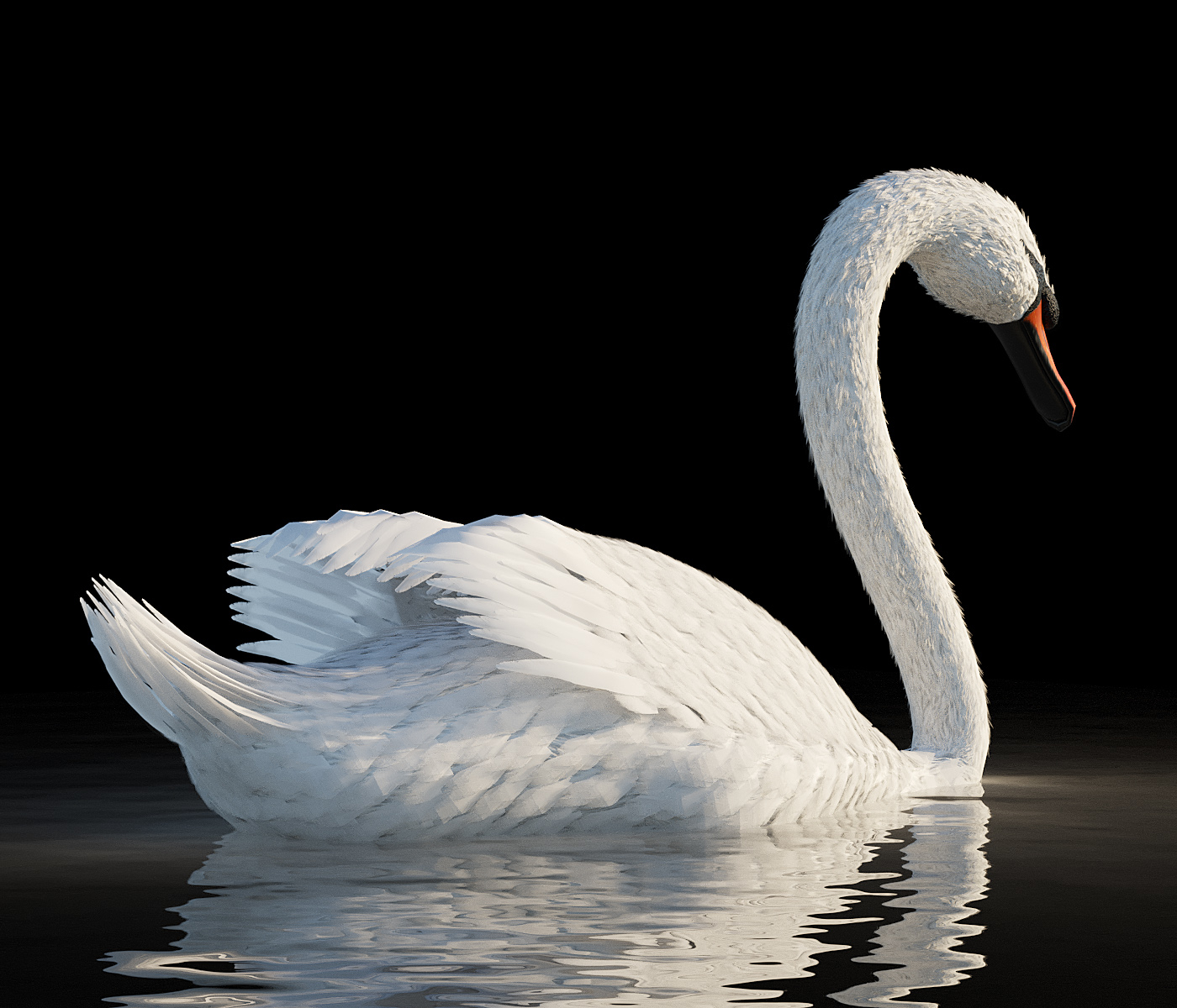 3D model white swan - TurboSquid 1478504
