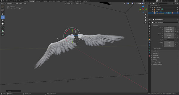 3d fully rigged bird wings
