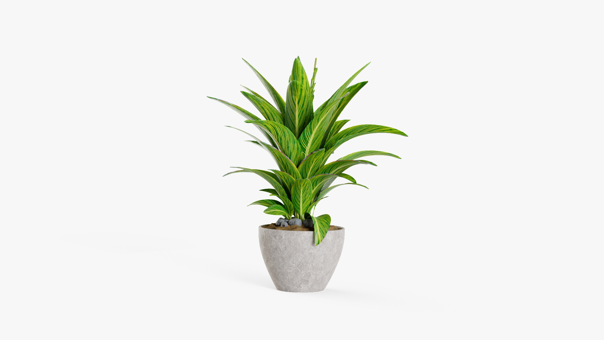 Plant design modeled 3D model - TurboSquid 1480751