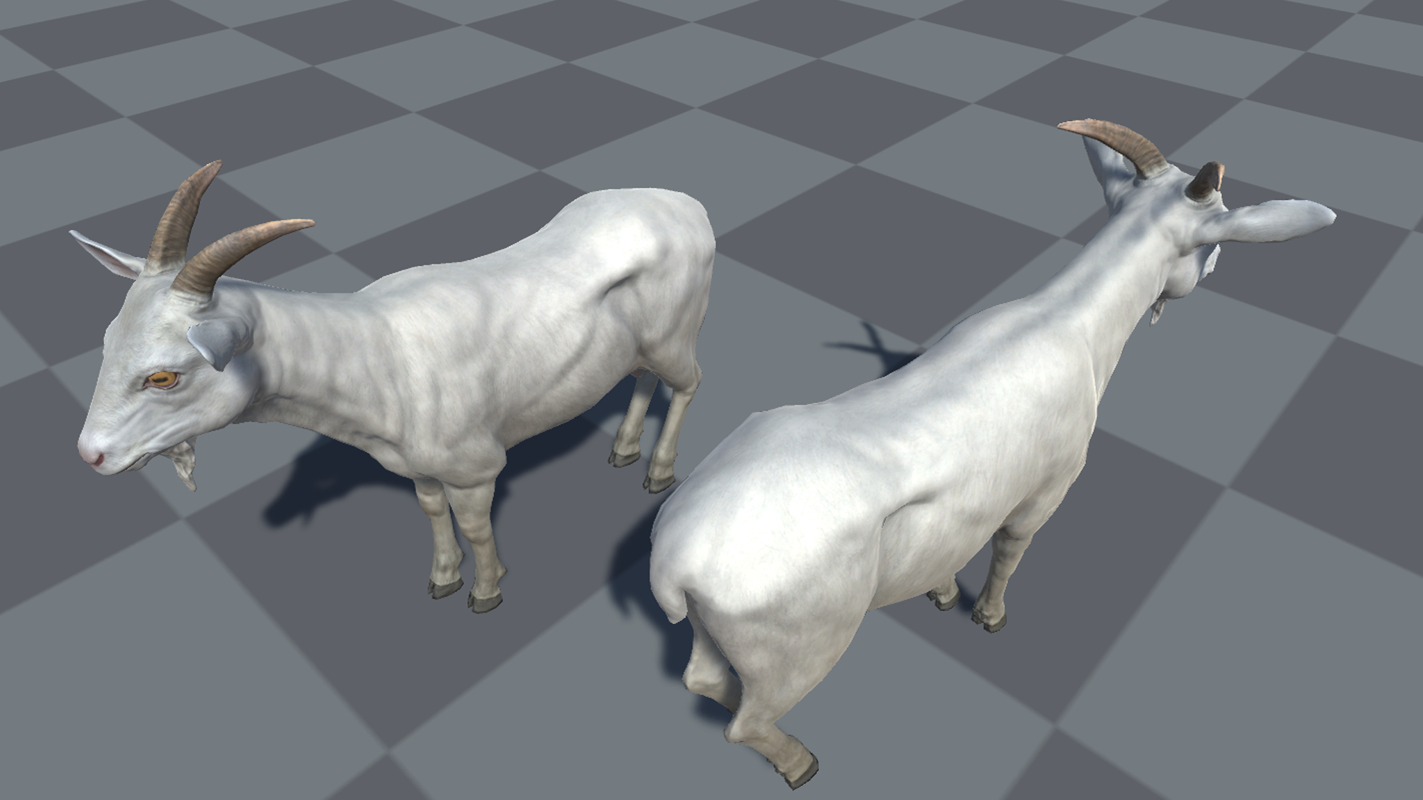 modèle 3D de Chèvre - TurboSquid 1480536