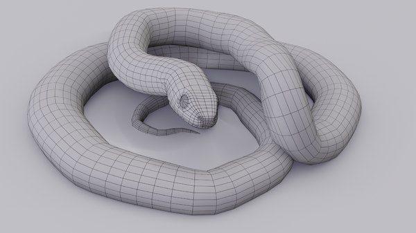 Schwarze weiße Schlange 3D-Modell - TurboSquid 1265358