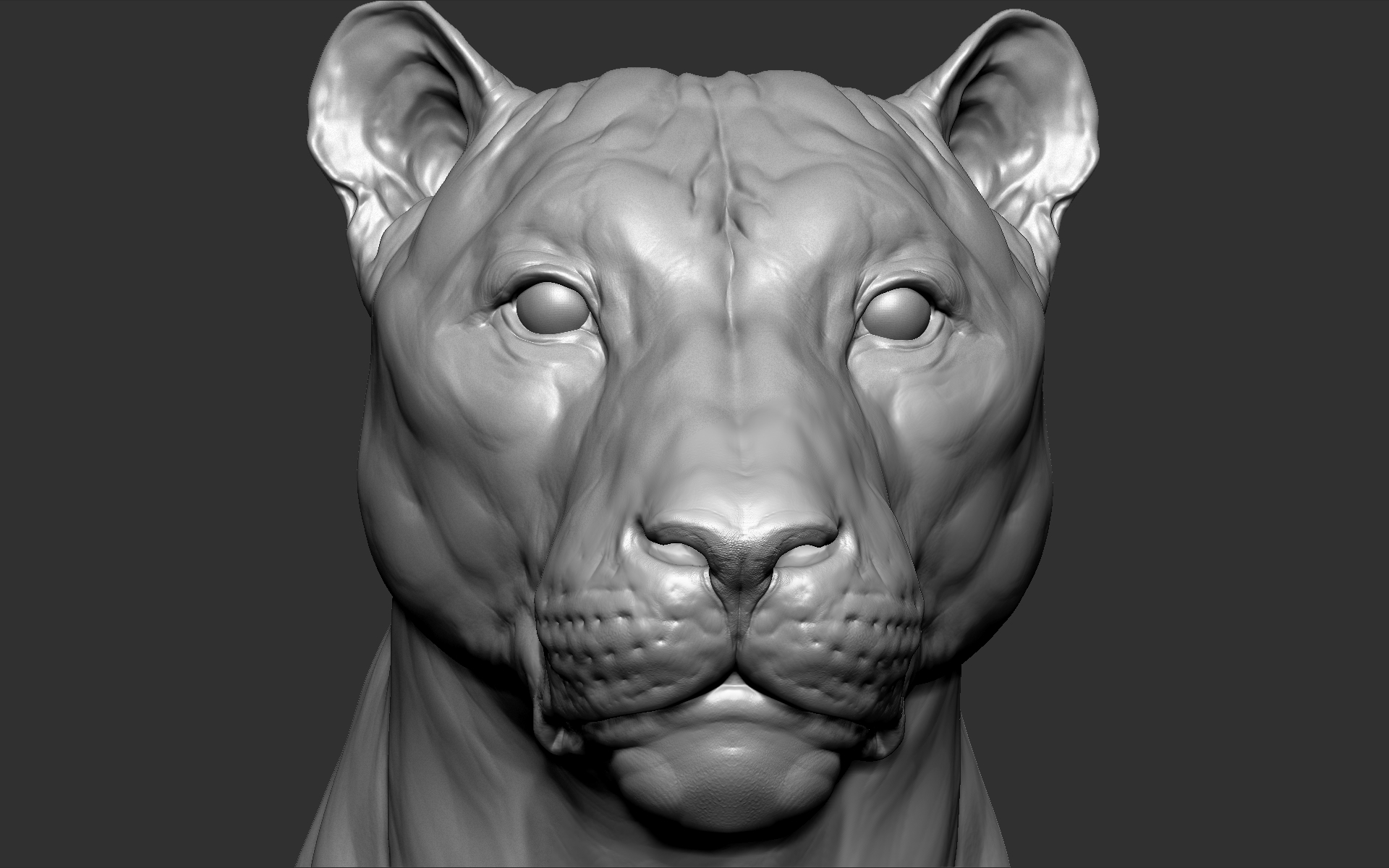 Tiger vfx zbrush sculpt 3D model - TurboSquid 1482877