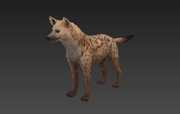 Hyena 3D Models for Download | TurboSquid
