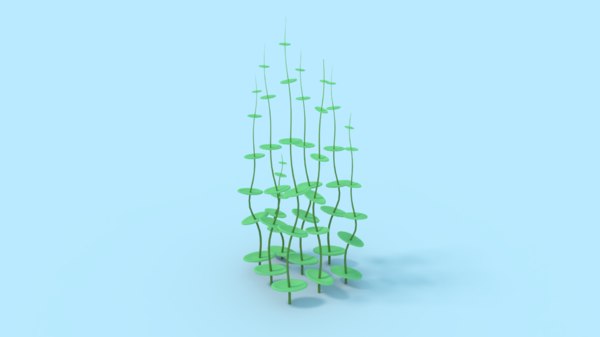 3D Seaweed Models | TurboSquid