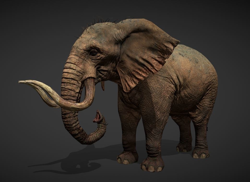 Elephant animations model - TurboSquid 1483342