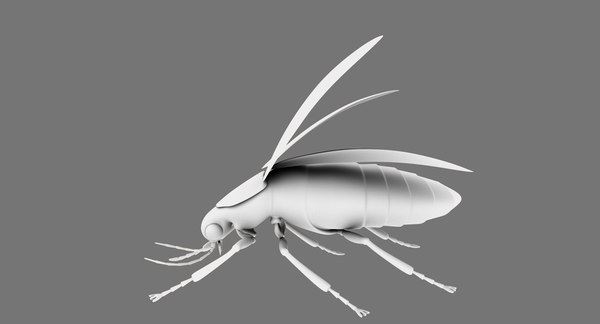 Firefly model - TurboSquid 1483553