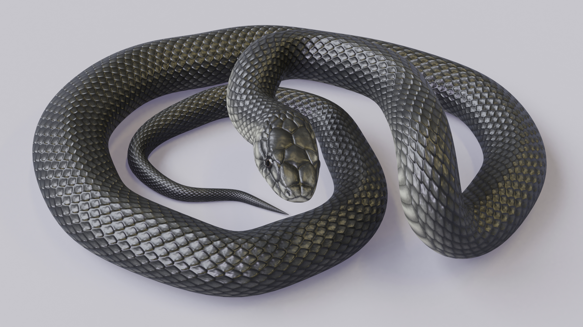3D model black mamba animation - TurboSquid 1264247