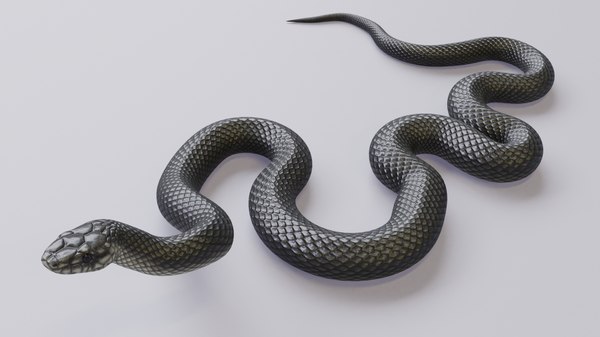 3D model black mamba animation - TurboSquid 1264247