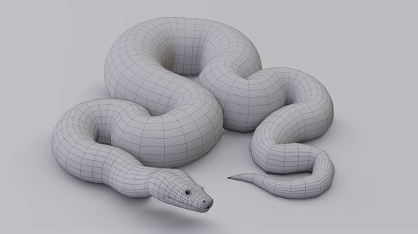 Burmese python animation 3D model - TurboSquid 1264730