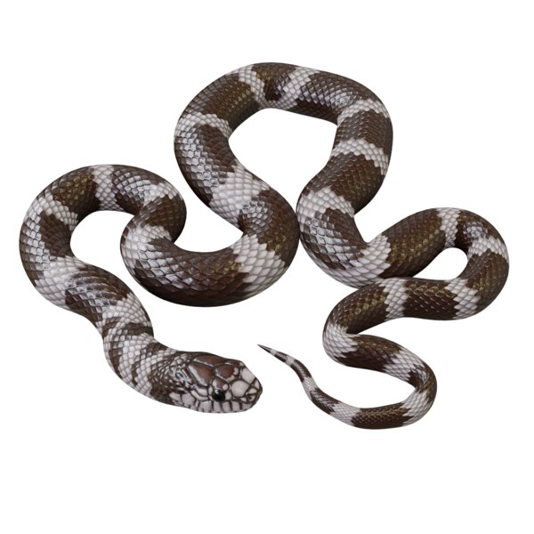 Snake Blender Models for Download | TurboSquid