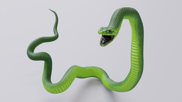 3D green mamba - TurboSquid 1264186
