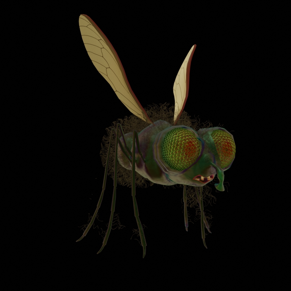 3D model fly rigged - TurboSquid 1484053