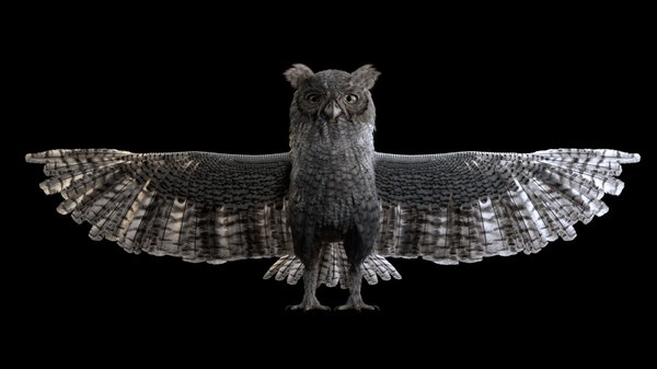 Owl rigged animates 3D model - TurboSquid 1486822