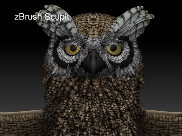 Owl rigged animates 3D model - TurboSquid 1486822