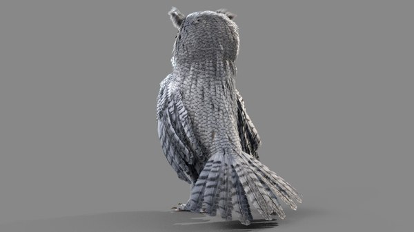 Owl rigged animates 3D model - TurboSquid 1486822