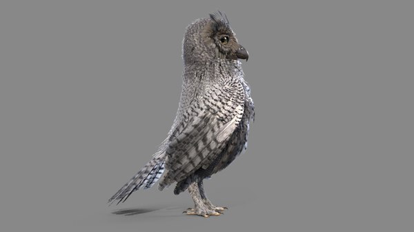 Owl rigged animates 3D model - TurboSquid 1486822