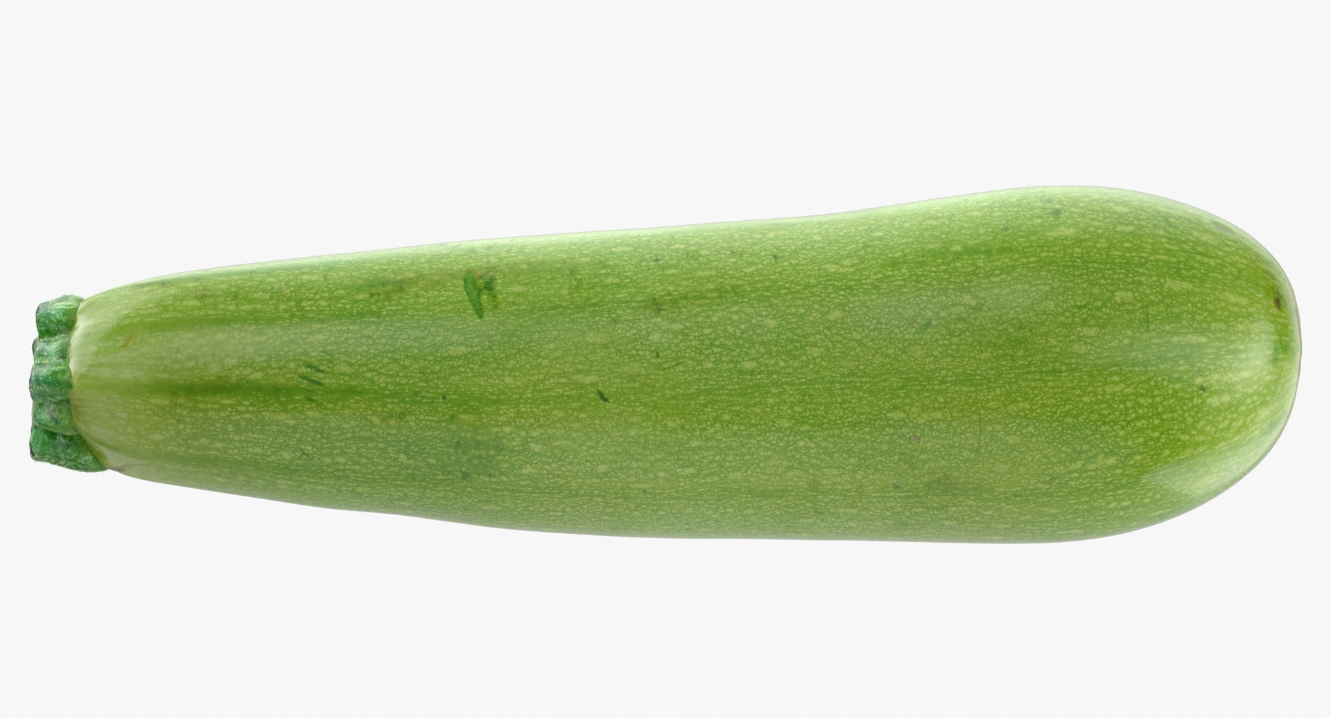 3D zucchini cousa squash 03 - TurboSquid 1485145