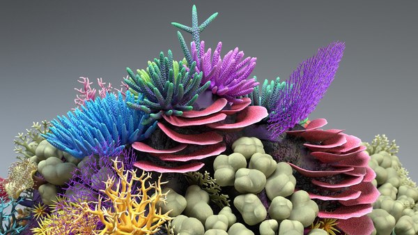 Coral reef 01 3D - TurboSquid 1486307