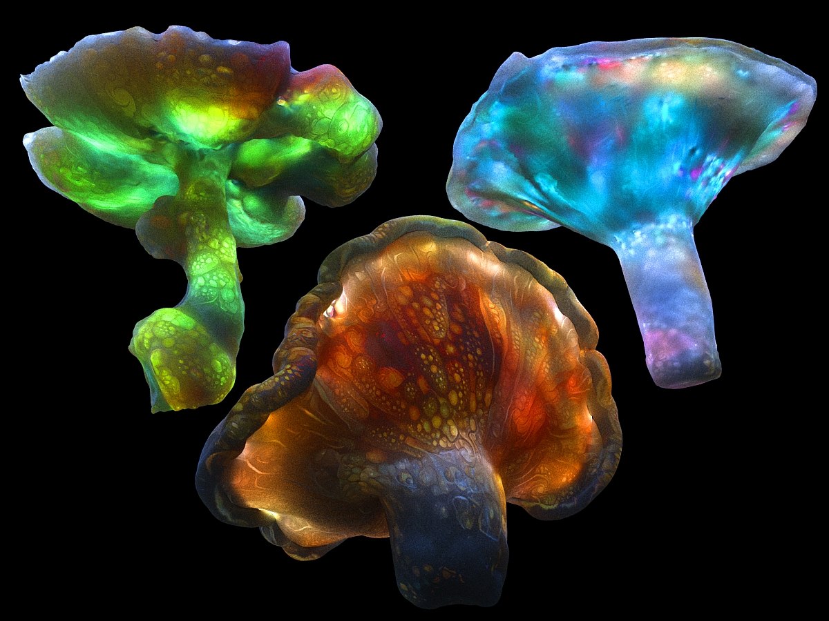 Magic emitting fungi 3D - TurboSquid 1485282