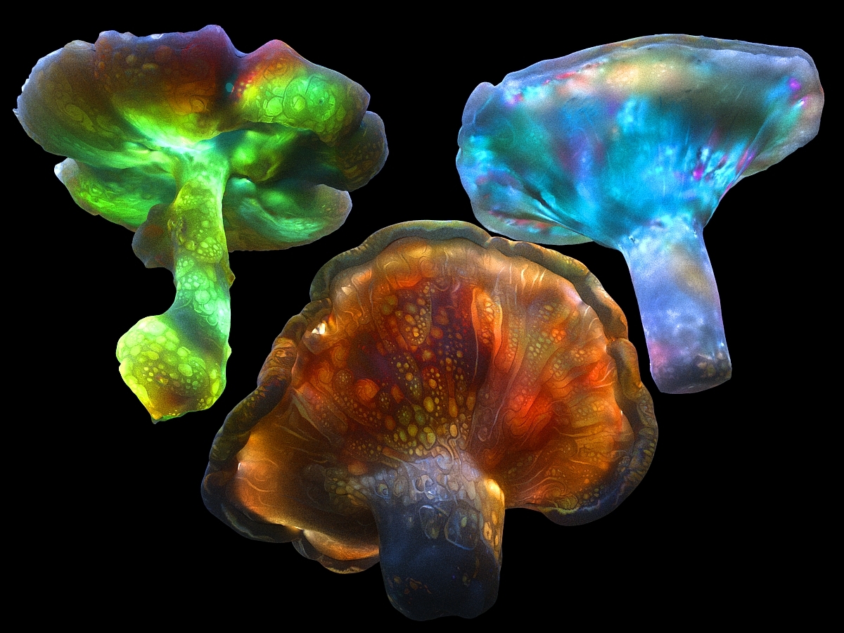 Magic emitting fungi 3D - TurboSquid 1485282