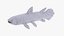3d coelacanth model