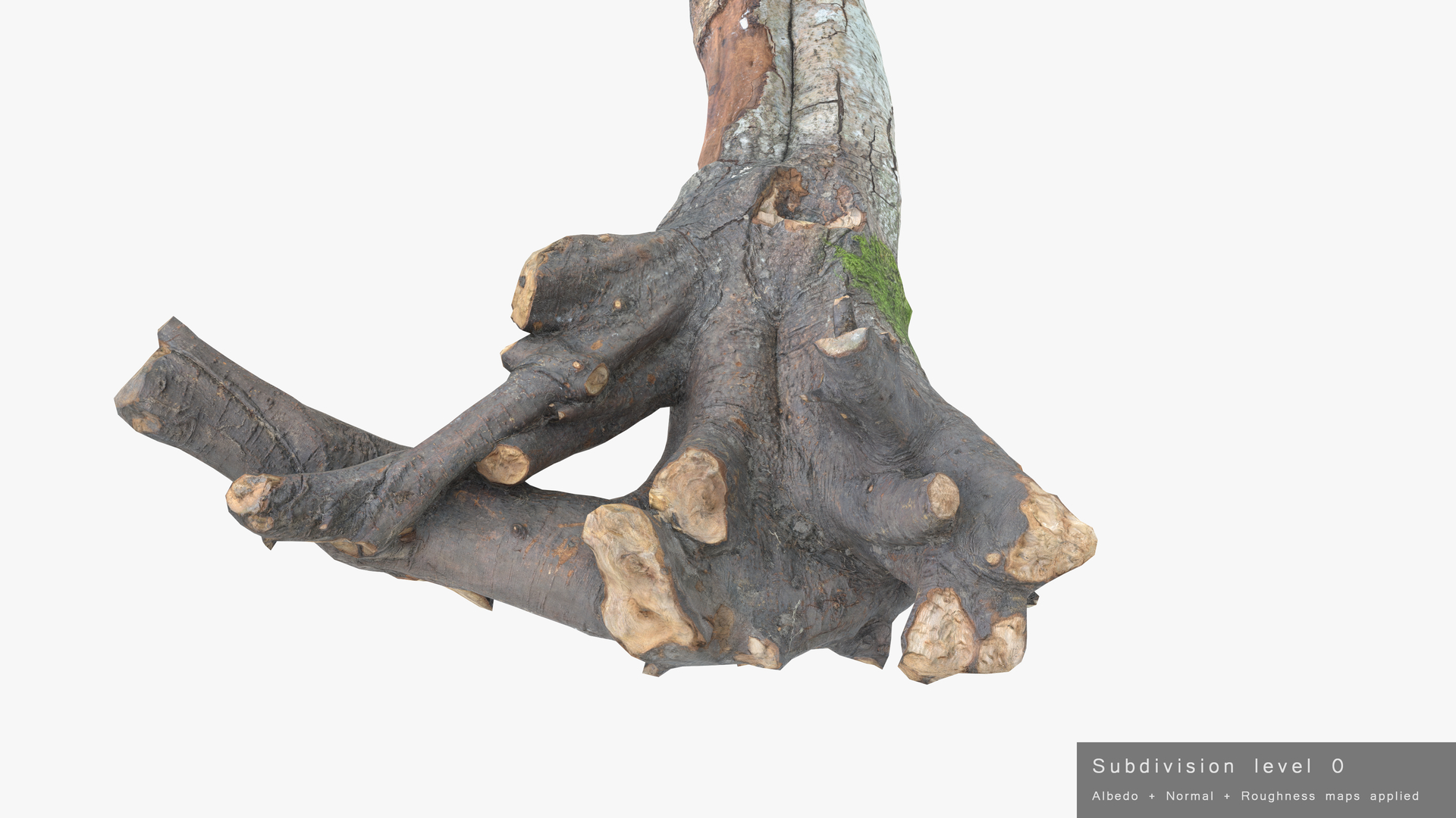 Tree broken withered roots 3D model - TurboSquid 1485759