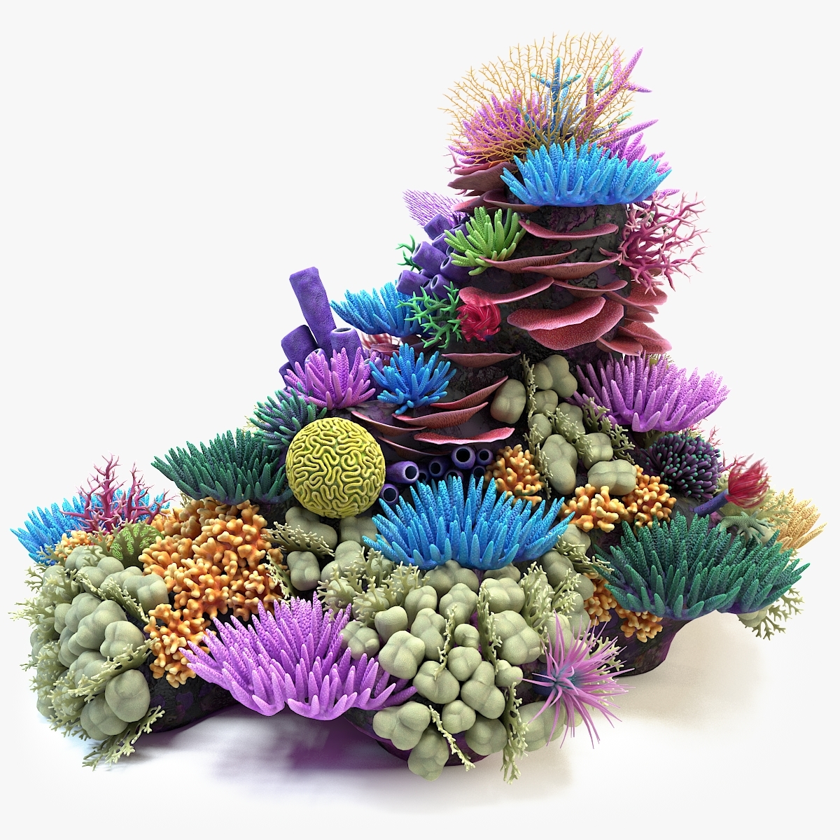 3D coral reef 02 - TurboSquid 1486310