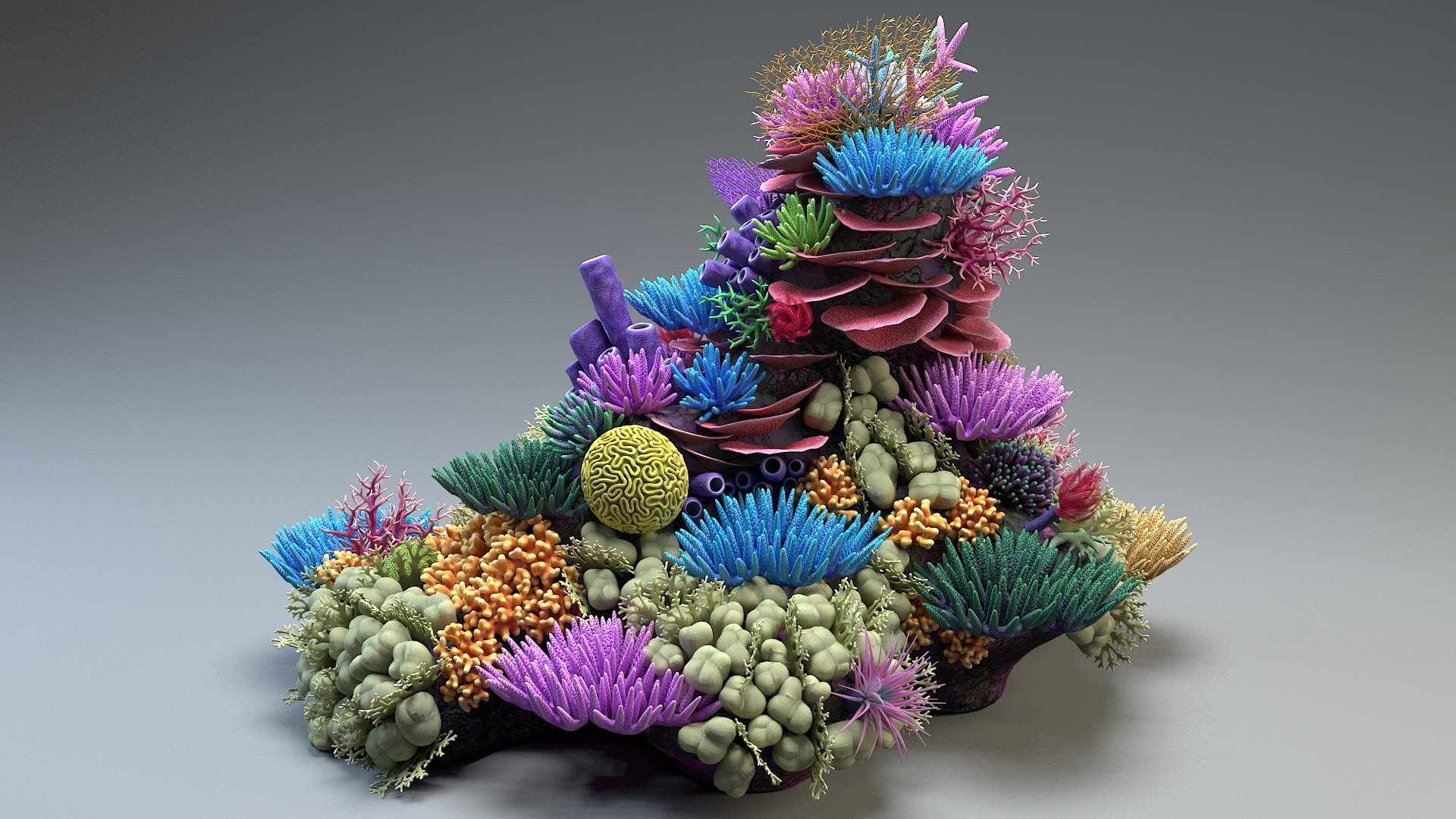 3D coral reef 02 - TurboSquid 1486310