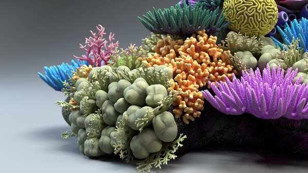 3D coral reef 02 - TurboSquid 1486310