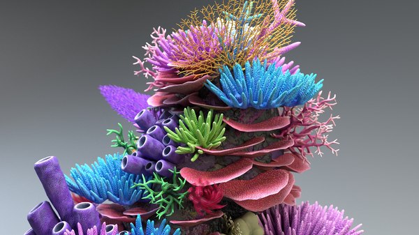3D coral reef 02 - TurboSquid 1486310