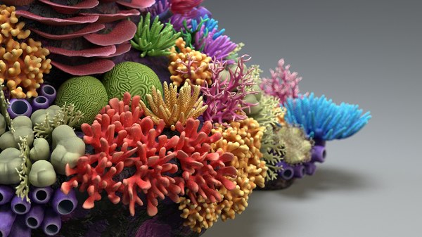 3D coral reef 02 - TurboSquid 1486310