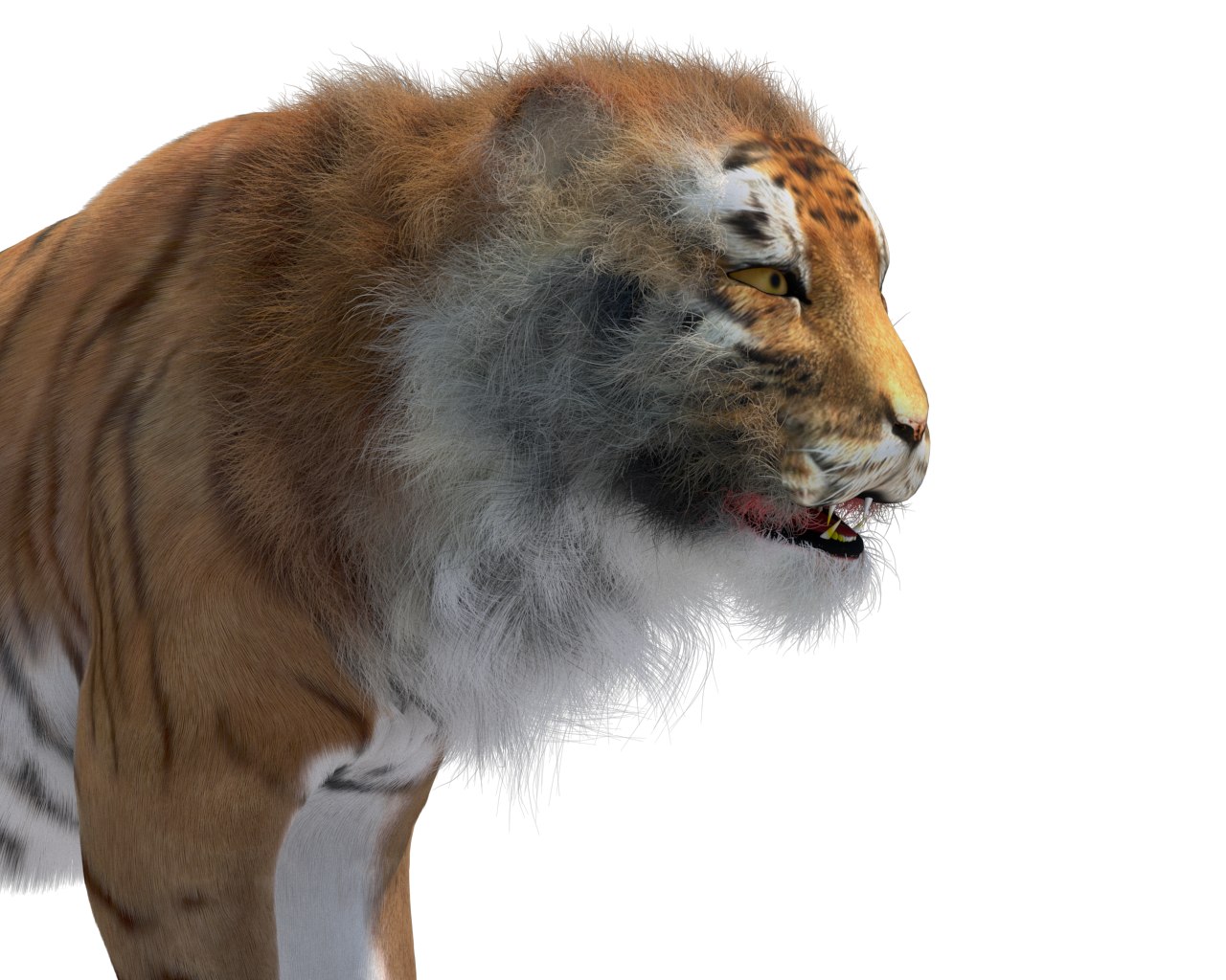 Tiger 3D model - TurboSquid 1485803